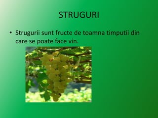 Fructe de toamna | PPTX