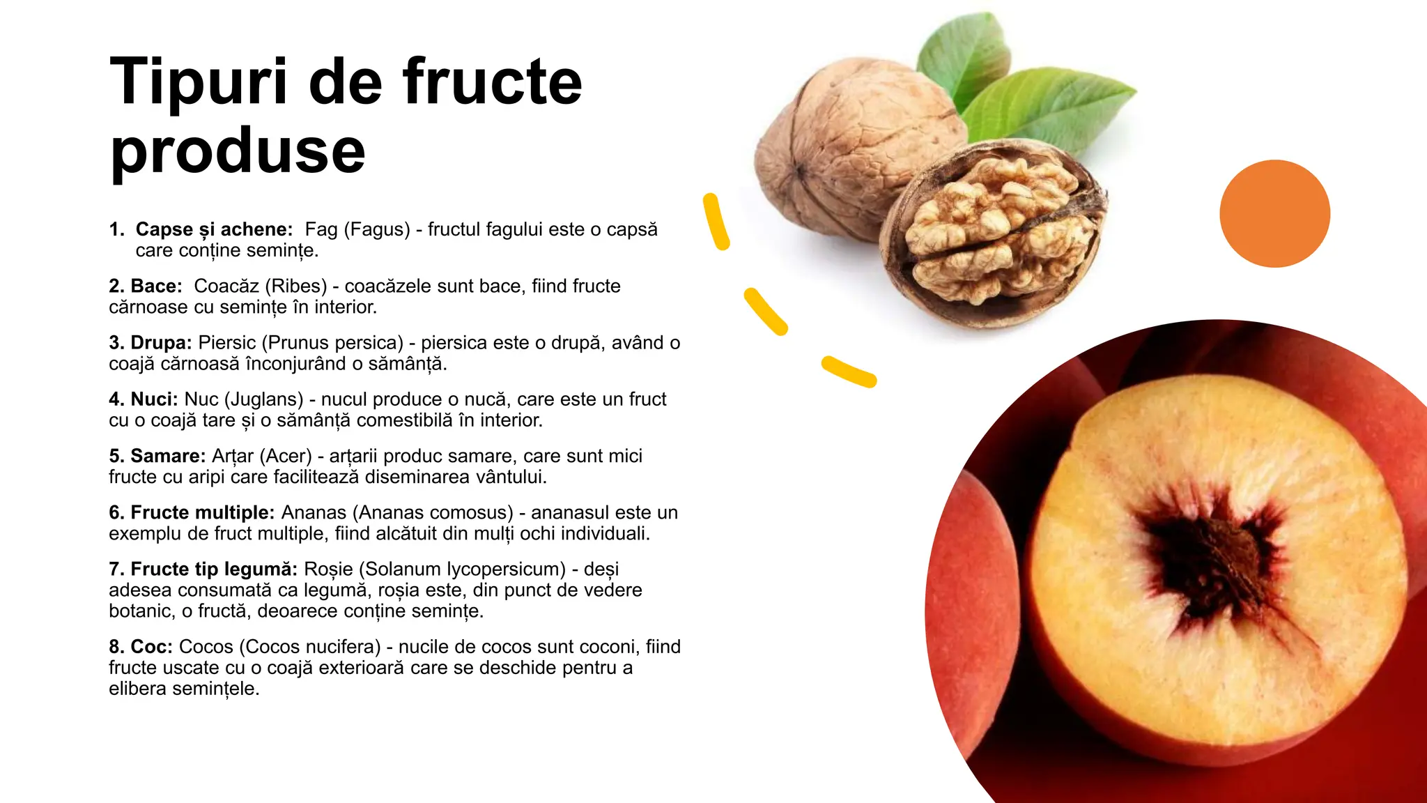 Fructificația plantelor lemnoase .pptx