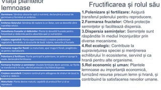 Fructificația plantelor lemnoase .pptx