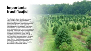 Fructificația plantelor lemnoase .pptx