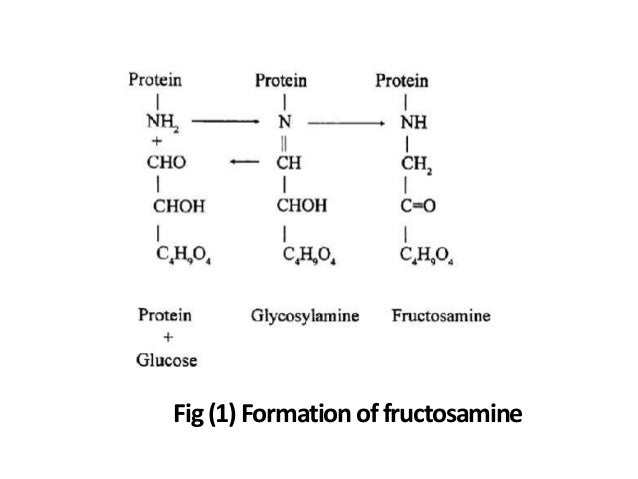 Fructosamine and hg a1c
