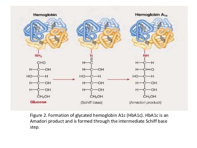 Fructosamine and hg a1c
