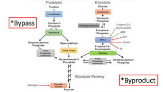 Fructose-Metabolism | PPTX