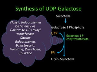 Fructose & galactose metabolism | PPTX