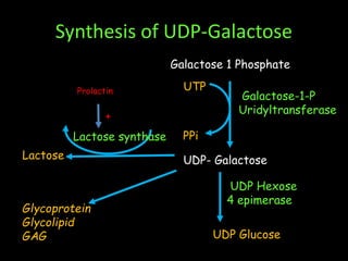 Fructose & galactose metabolism | PPTX