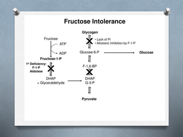 Fructose intolerance and Clinical diagnosis | PPTX | Digestive Disorders | Diseases and Conditions