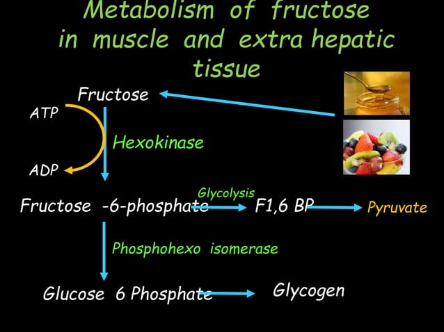Fructose metabolism | PPTX | Endocrine and Metabolic Diseases ...