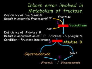 Fructose metabolism | PPTX