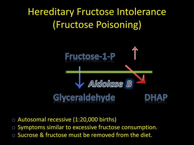 Fructose metabolism | PPT