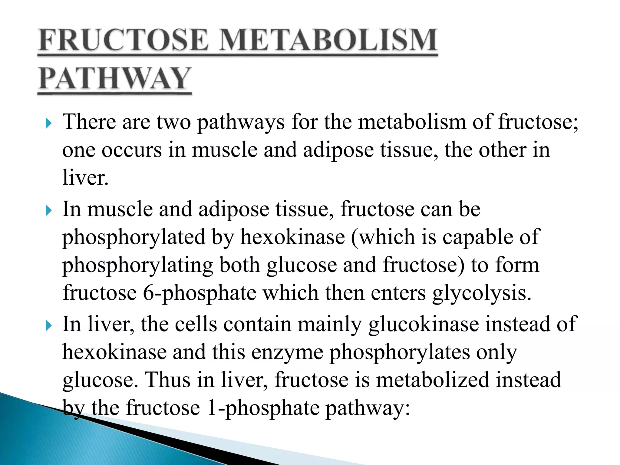 FRUCTOSE METABOLISM | PPTX