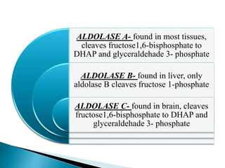 FRUCTOSE METABOLISM | PPTX
