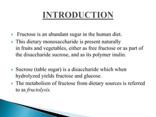 FRUCTOSE METABOLISM | PPTX