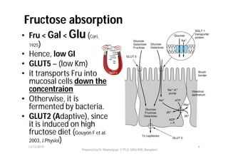 Fructose metabolism | PDF