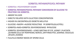 Fructose metabolism | PDF
