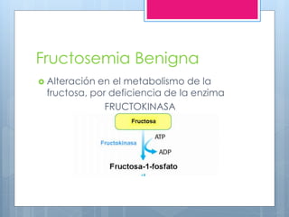 Fructosemia | PPTX