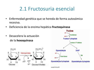 Fructosuria esencial e intolerancia a la fructosa | PPTX