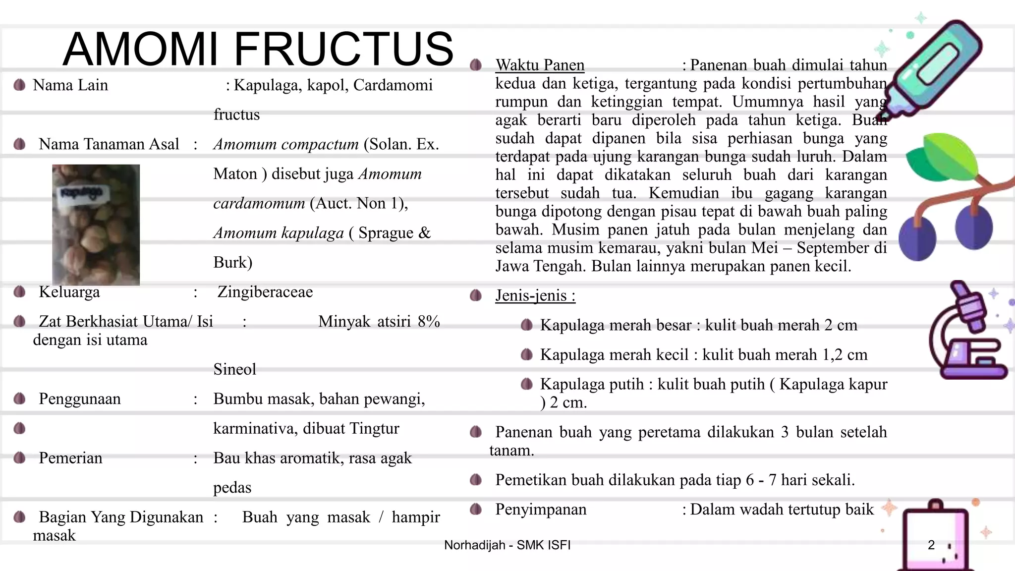 Fructus | PPTX