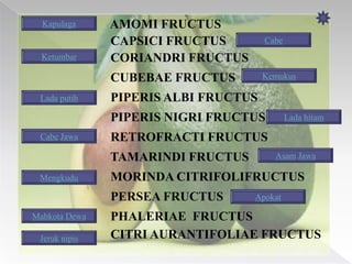 Fructus pptx | PPTX