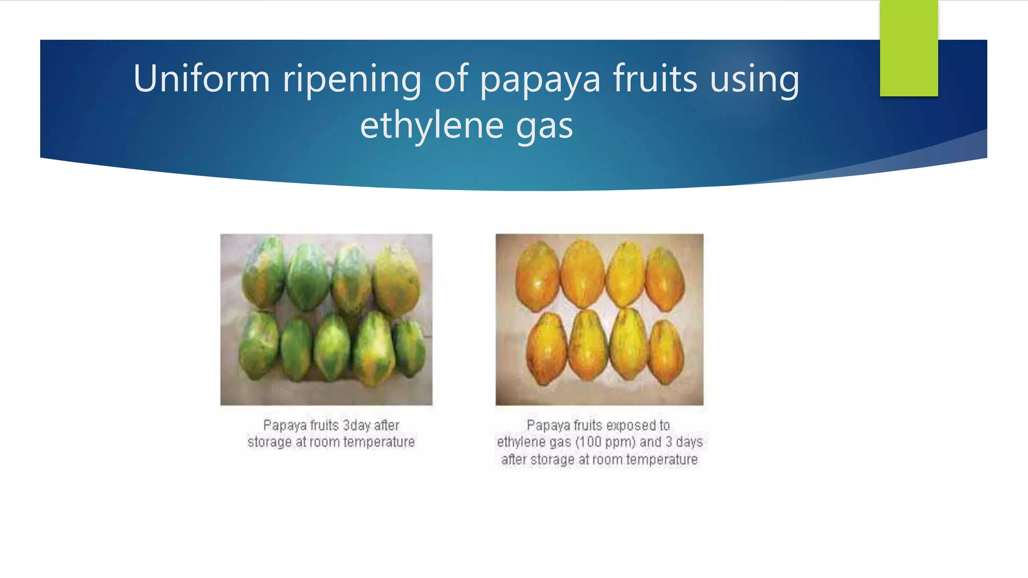 Techniques of ripening followed in fruits | PPTX