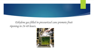 Techniques of ripening followed in fruits | PPTX