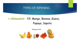 Techniques of ripening followed in fruits | PPTX
