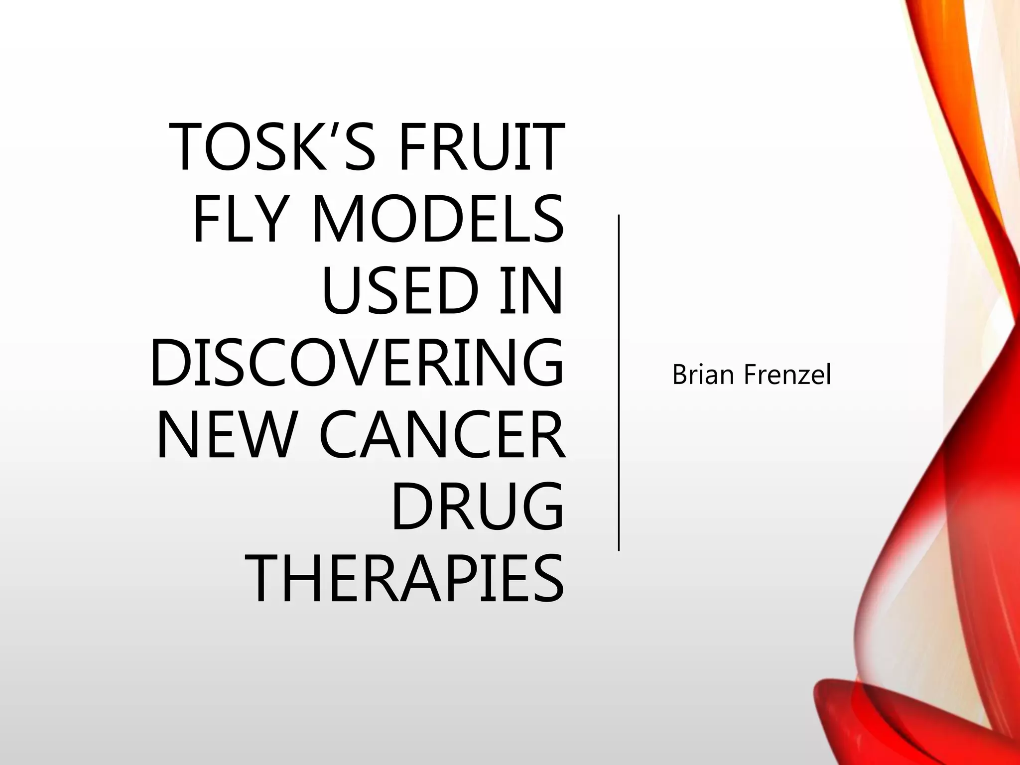 Tosk’s Fruit Fly Models Used in Discovering New Cancer Drug Therapies ...