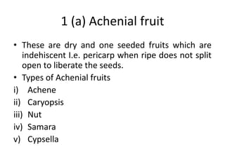 Fruit | PPTX