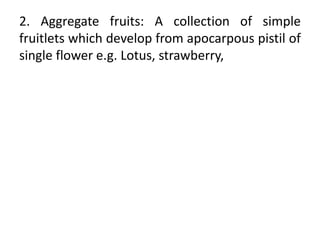 Fruit | PPTX