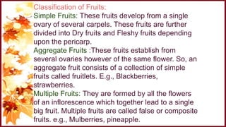 fruit.pptx for post graduate students studies | PPTX