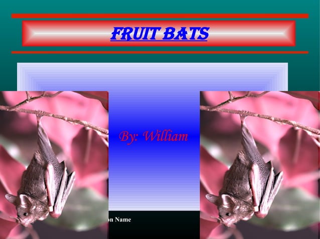Fruit Bats by William | PPT