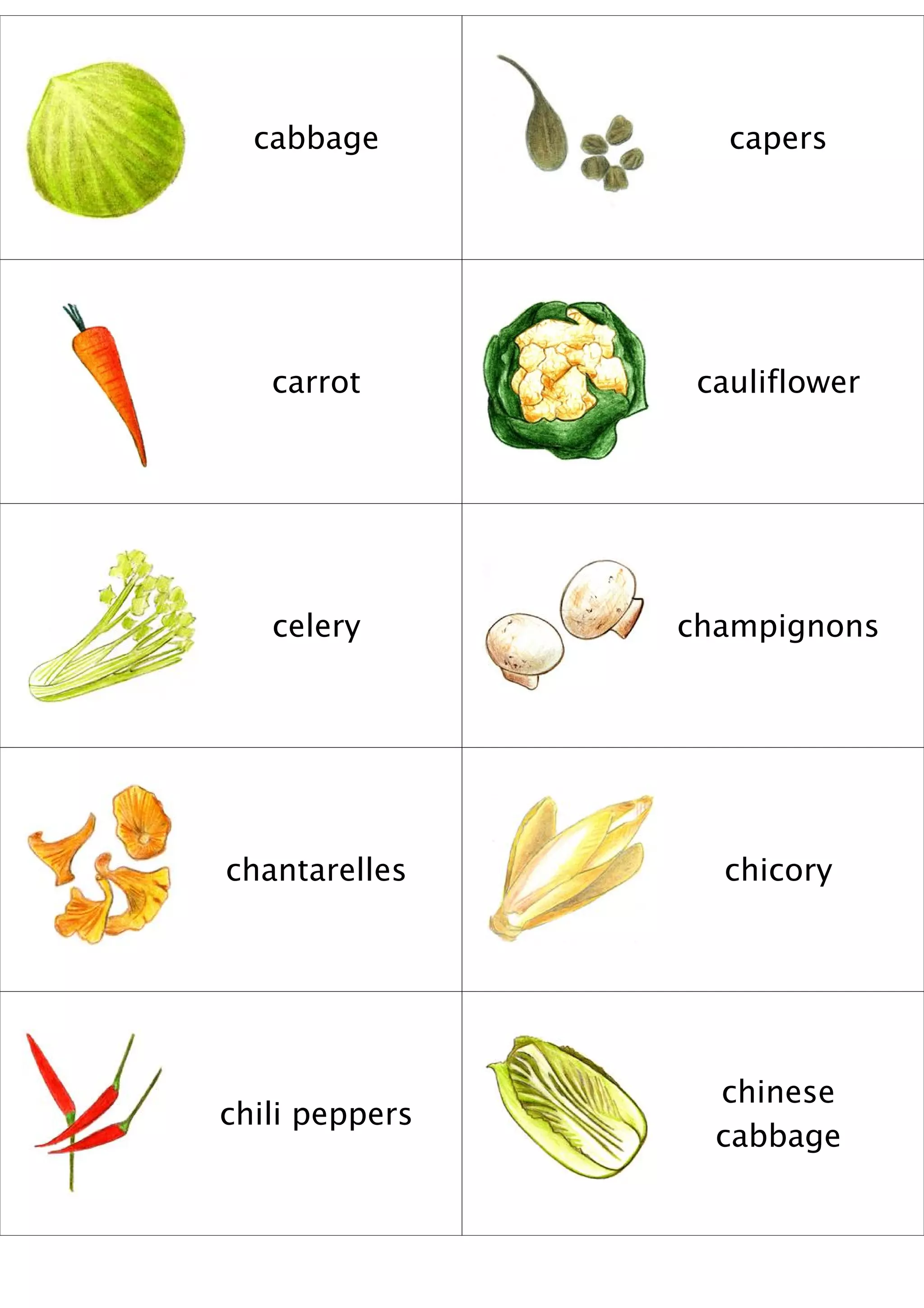 Fruit berries-vegetables-and-mushroom- | PDF