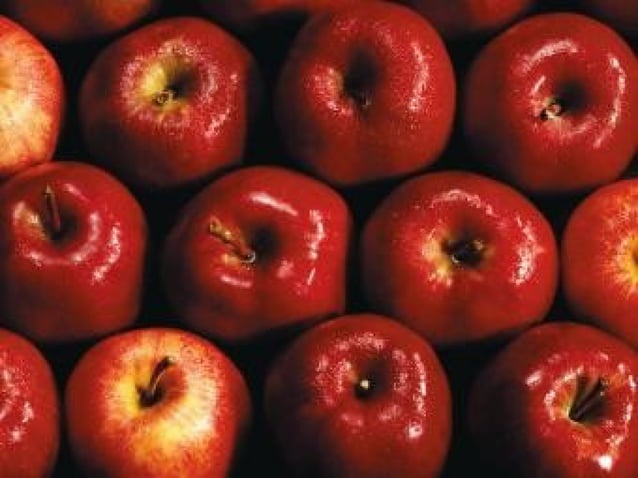 Fruit Collection | PPS