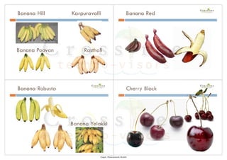 Fruit ID small sheets | PPT