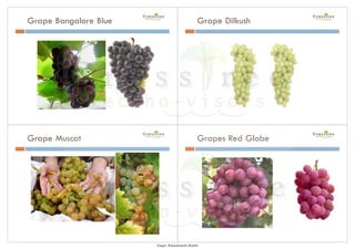 Fruit ID small sheets | PDF