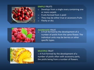 Simple Fruit Examples