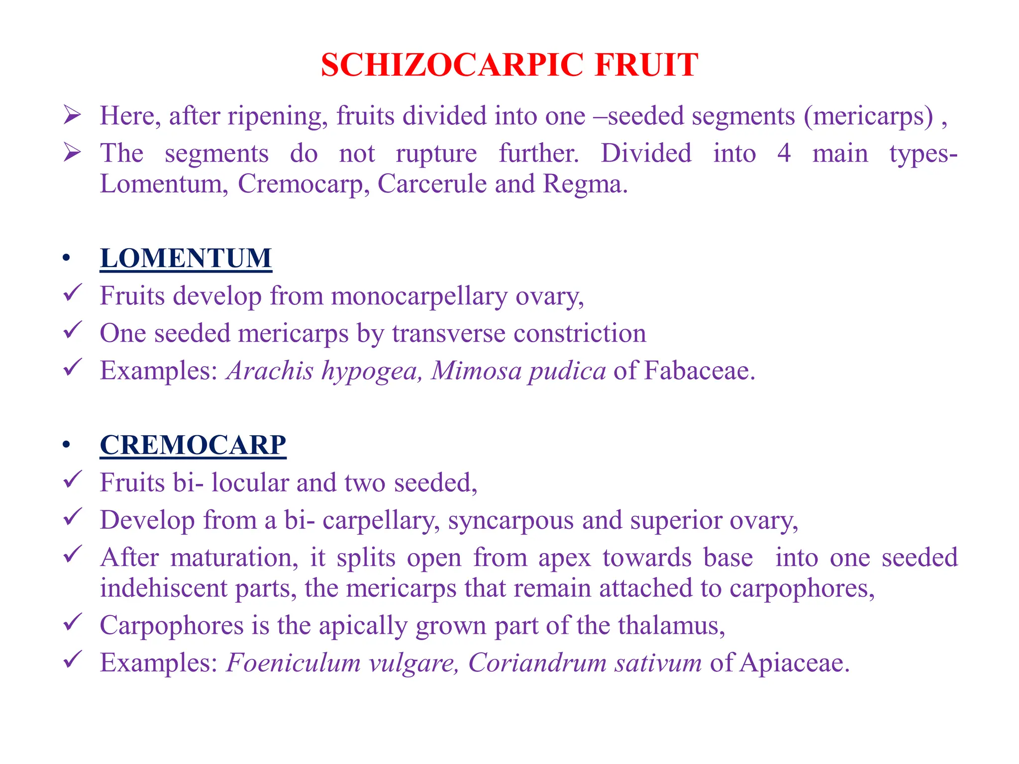 FRUIT-TYPES AND TAXONOMIC SIGNIFICANCE.pdf