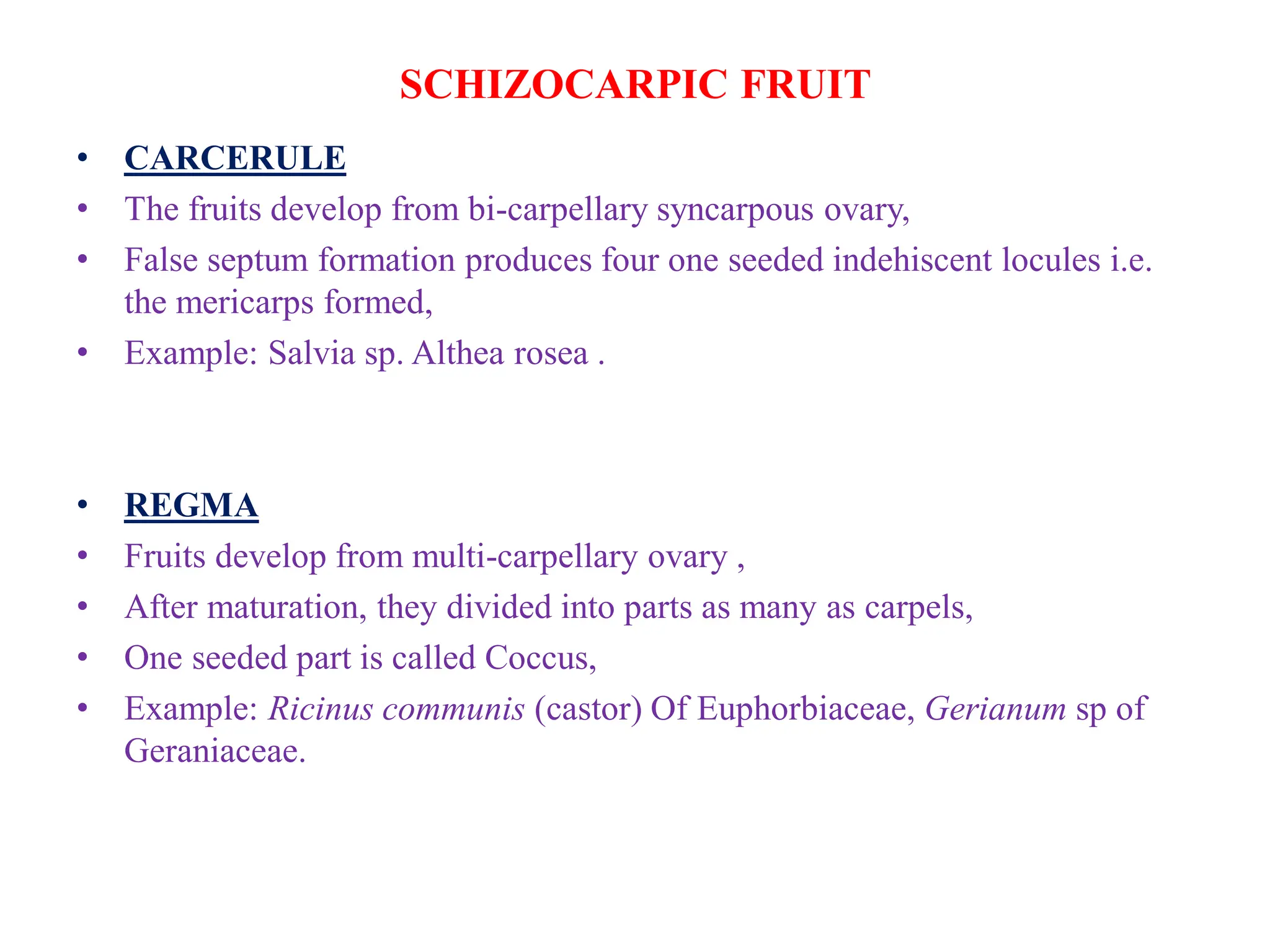 FRUIT-TYPES AND TAXONOMIC SIGNIFICANCE.pdf