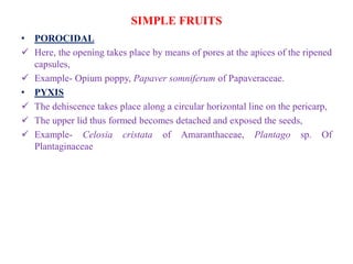 FRUIT-TYPES AND TAXONOMIC SIGNIFICANCE.pdf