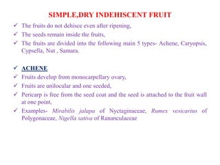 FRUIT-TYPES AND TAXONOMIC SIGNIFICANCE.pdf
