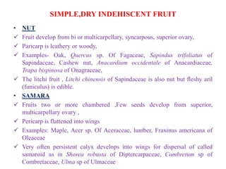 FRUIT-TYPES AND TAXONOMIC SIGNIFICANCE.pdf