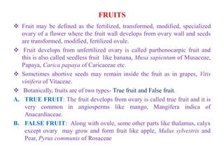FRUIT-TYPES AND TAXONOMIC SIGNIFICANCE.pdf