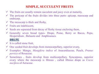 FRUIT-TYPES AND TAXONOMIC SIGNIFICANCE.pdf