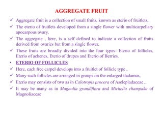 FRUIT-TYPES AND TAXONOMIC SIGNIFICANCE.pdf