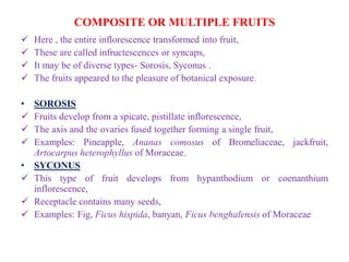 FRUIT-TYPES AND TAXONOMIC SIGNIFICANCE.pdf