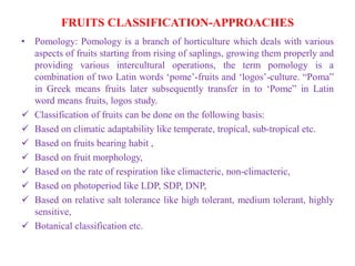 FRUIT-TYPES AND TAXONOMIC SIGNIFICANCE.pdf