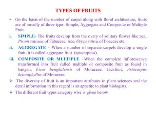 FRUIT-TYPES AND TAXONOMIC SIGNIFICANCE.pdf
