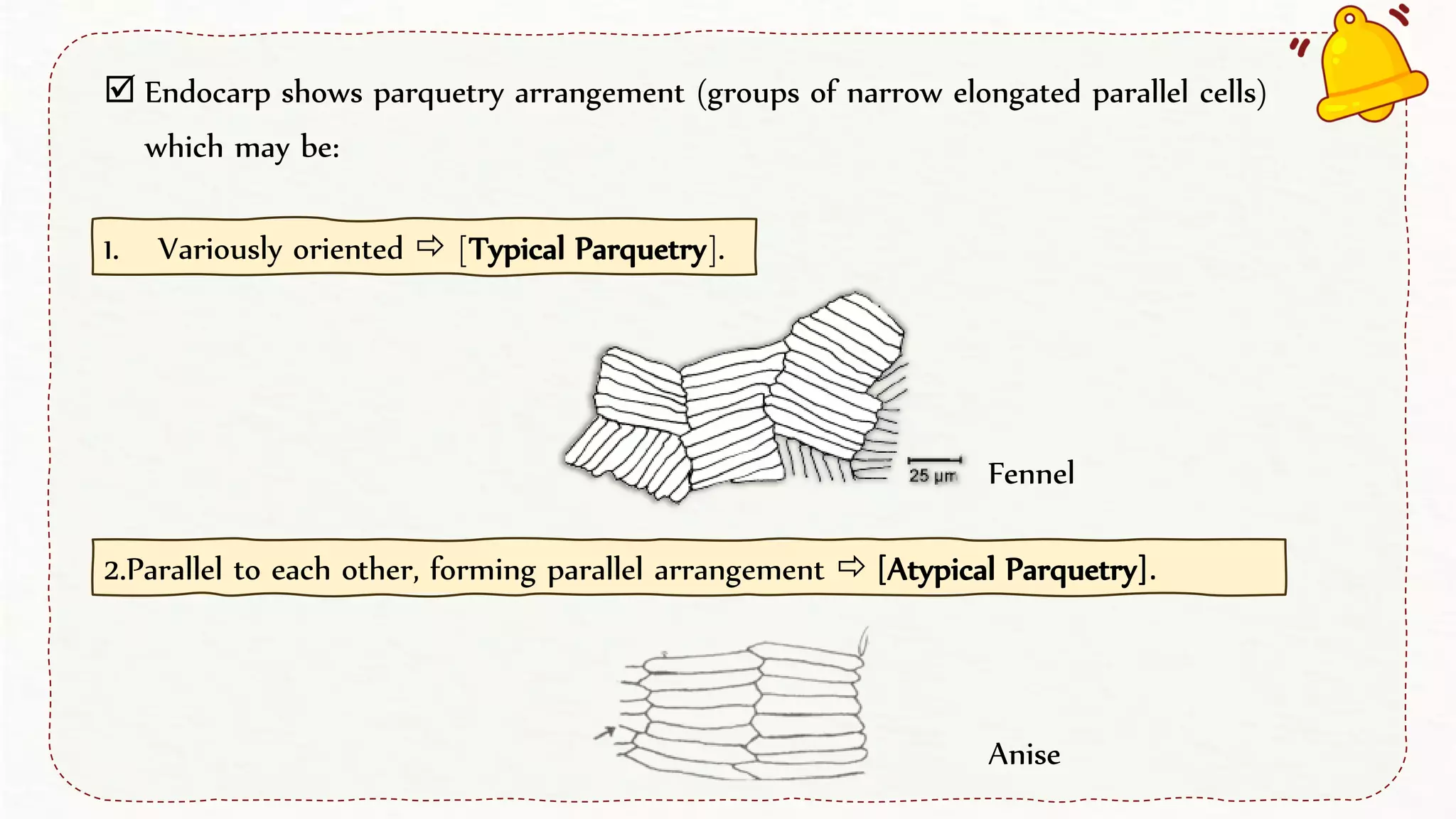 Fruits: Fennel, Ammi visnaga & Ammi visnaga 2023.pdf