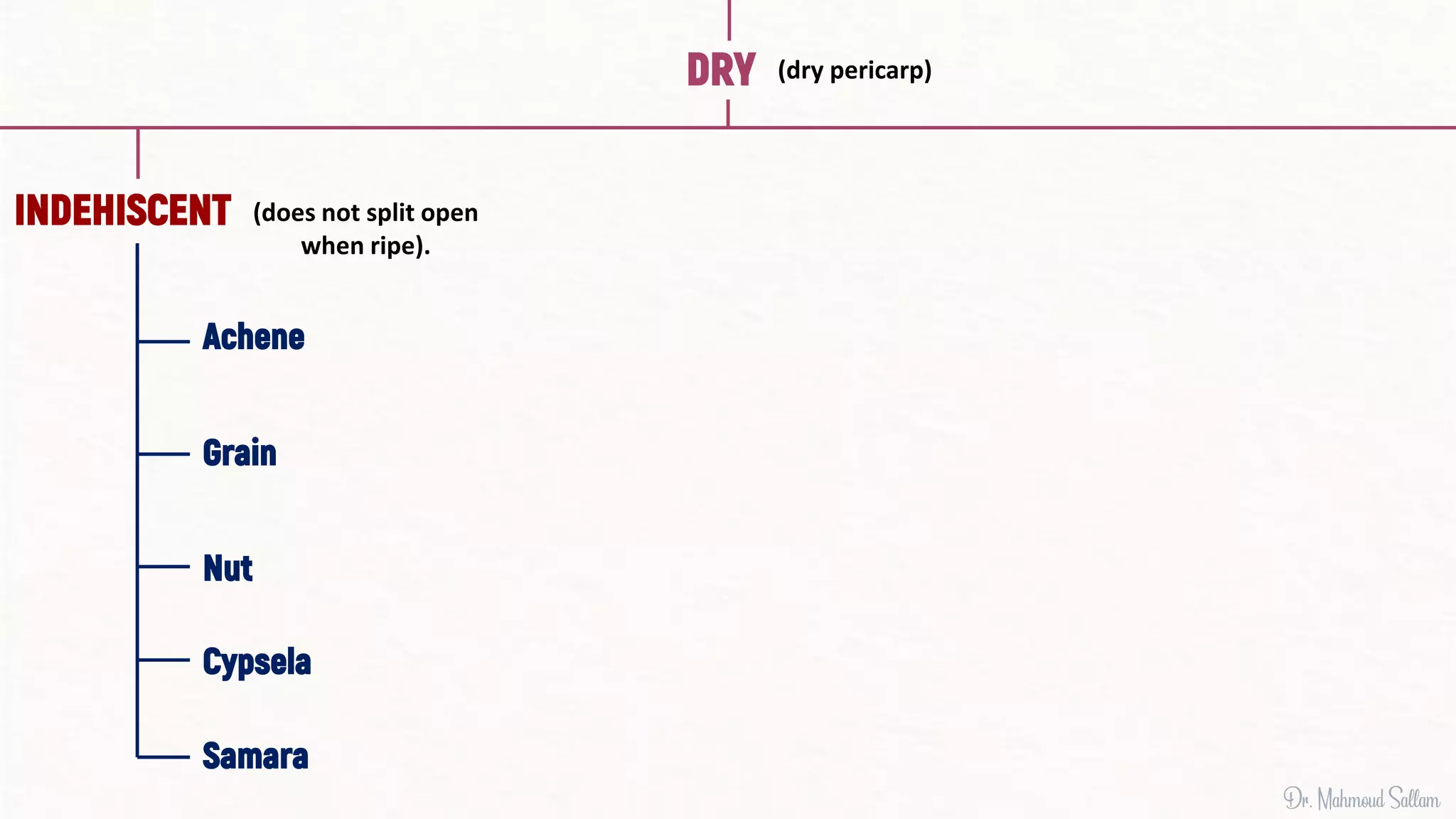 Pharmacognosy 1 (Fruits): Introduction | PDF