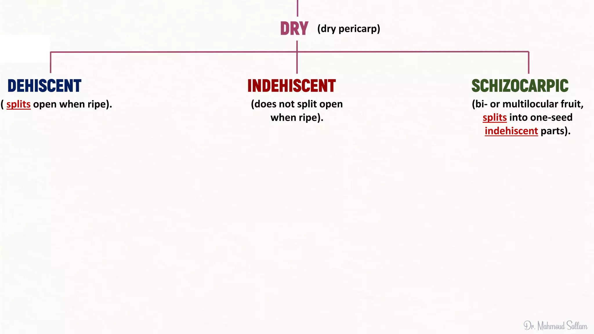 Pharmacognosy 1 (Fruits): Introduction | PDF