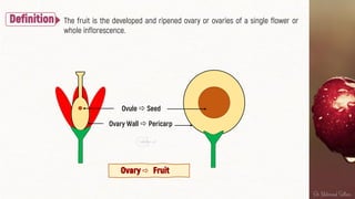 Pharmacognosy 1 (Fruits): Introduction | PDF